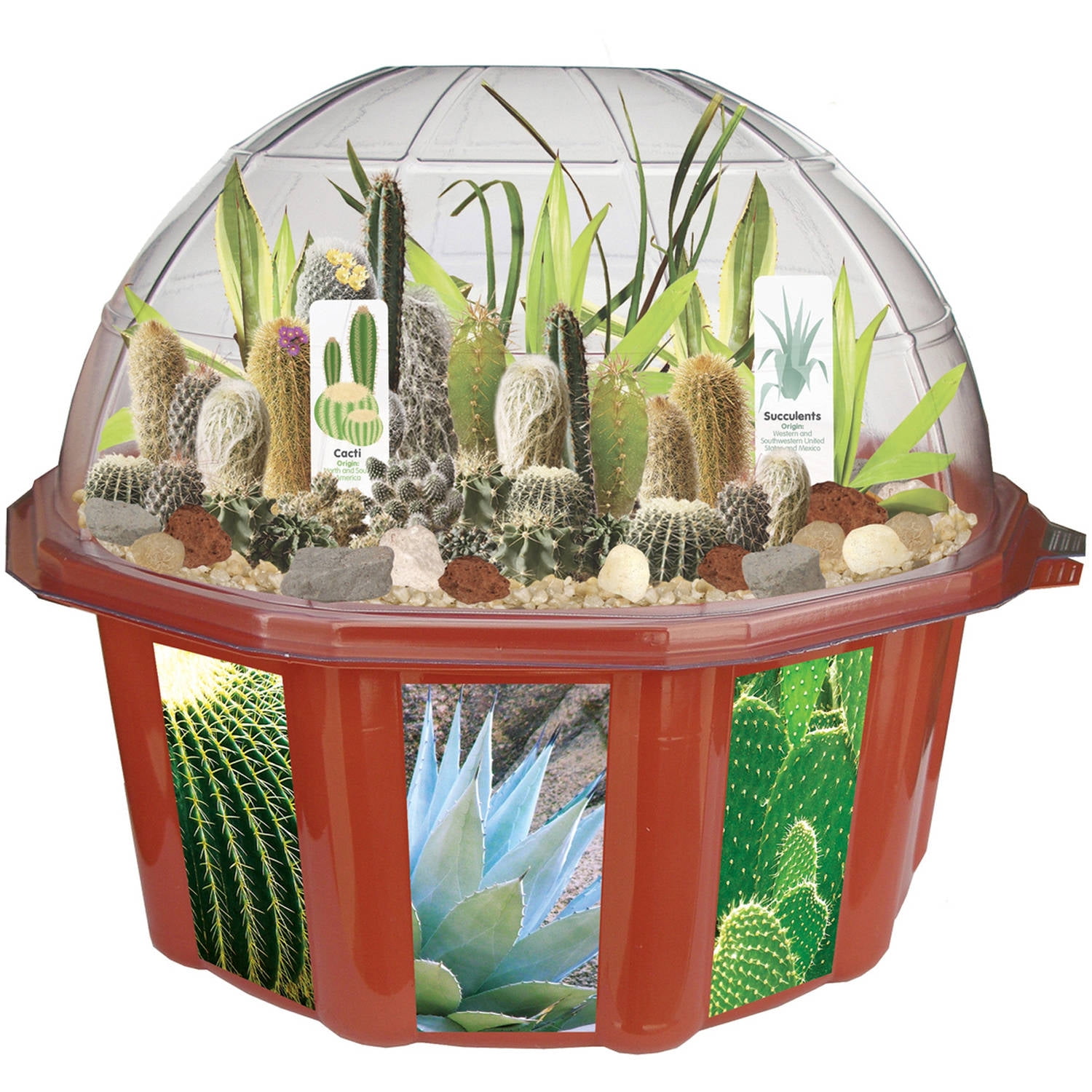 Bio Dome Toy