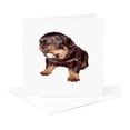3drose, Rottweiler Puppy with Shocked Open Mouth Expression, 6 Greeting ...