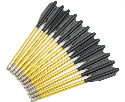 24 ALUMINUM ARROWS BOLTS FOR 50lb 80 LB PISTOL CROSSBOW - Walmart.com