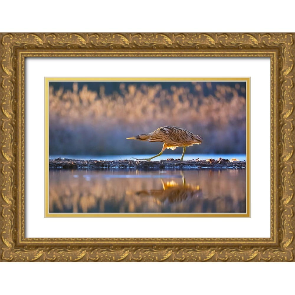 Chang, Phillip 32x23 Gold Ornate Wood Framed with Double Matting Museum Art Print Titled ...