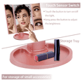 HOODINK Makeup Mirror, Portable Vanity with Light, Dual Power Supply ...