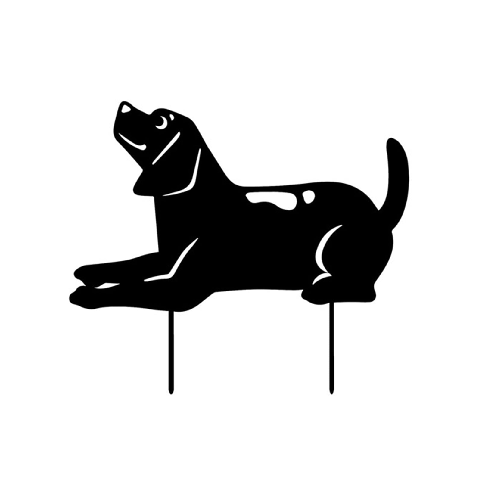 What Baby Animal Is A Whelp