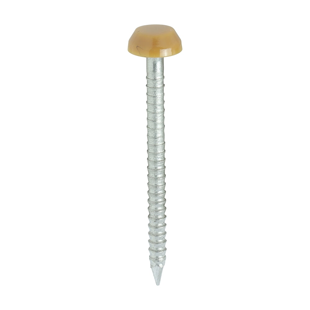 Timco - Polymer Headed Pins - A4 Stainless Steel - Oak (Size 30mm - 250 ...