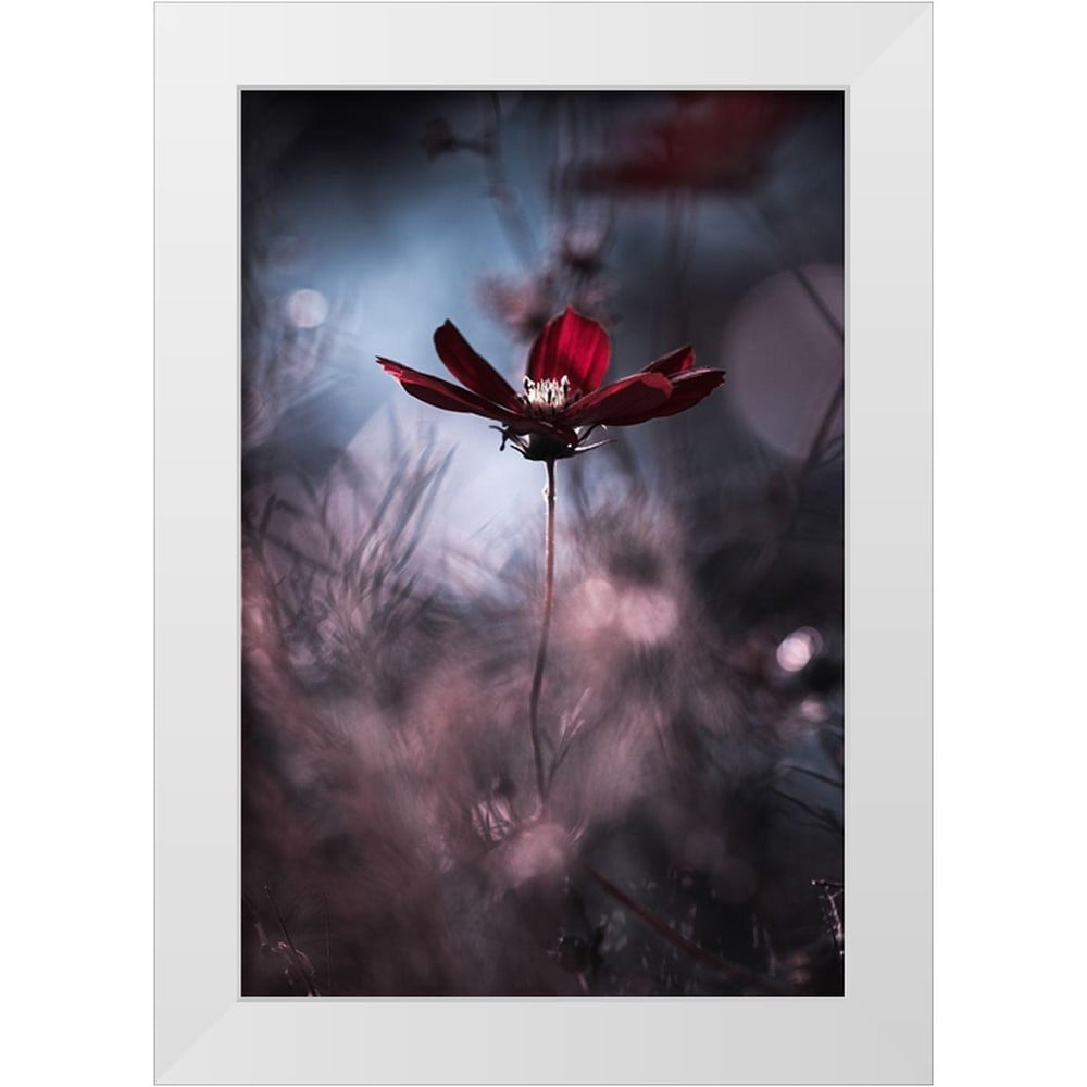 Bravin, Fabien 11x14 White Modern Wood Framed Museum Art Print Titled ...