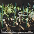 Bexikou Bamboo Garden Stakes, Decorative Green Wooden Plant Support ...