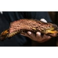 Terry Black's Barbecue Beef Dry Rub - Walmart.com