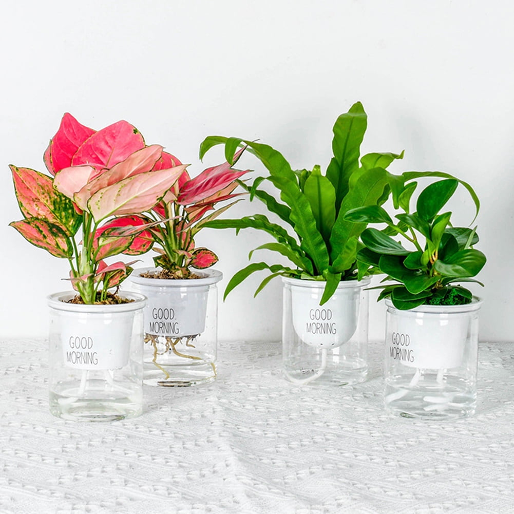 Sunjoy Tech Self Watering Planter , African Violet Pots, Clear Plastic ...