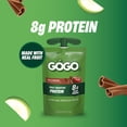 GOGO 8g PROTEIN Apple Cinnamon Fruit Smoothie On The Go Pouches , 3.75 ...