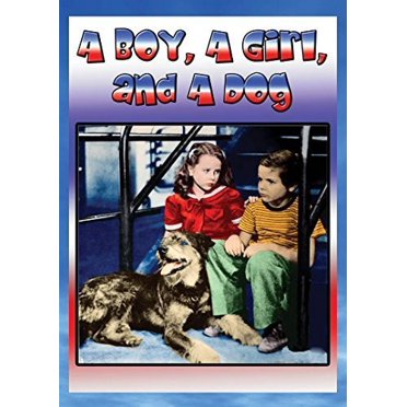 Miracle Dogs & Miracle Dogs Too - Walmart.com