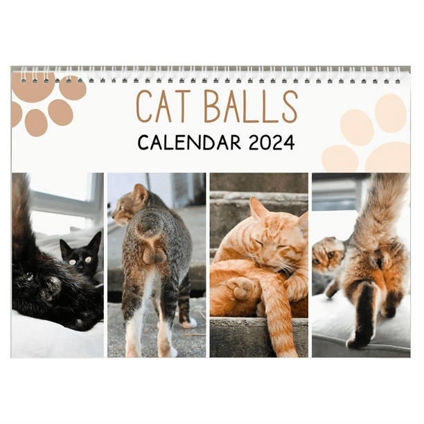 Winyuyby Funny Calendar - Funny Gift - Cats Buttocks Calendar 2024 ...