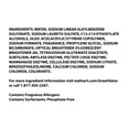Great Value Oxi-Based Laundry Detergent, Clean Blast, 100.5 fl oz, 77 ...