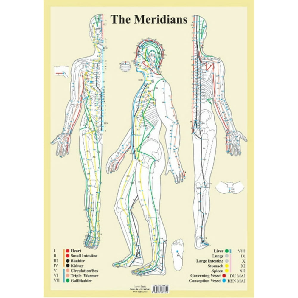Meridians (Poster) - Walmart.com - Walmart.com
