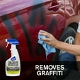 Lift Off 45406-2PK Paint Scuff and Graffiti Remover Spray 16 oz Spray ...