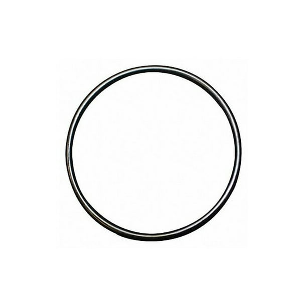 Dupont O-Ring,4" Dia,1/4", 100F WFAO150 - Walmart.com