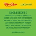 Topo Chico Sabores Sparkling Mineral Water, Lime Flavor with Mint Extract, 12 fl oz, Pack of 8 ...