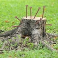 Yammee 15Pcs Copper Nails Tree Stump Killers Stump Removal Spikes for ...