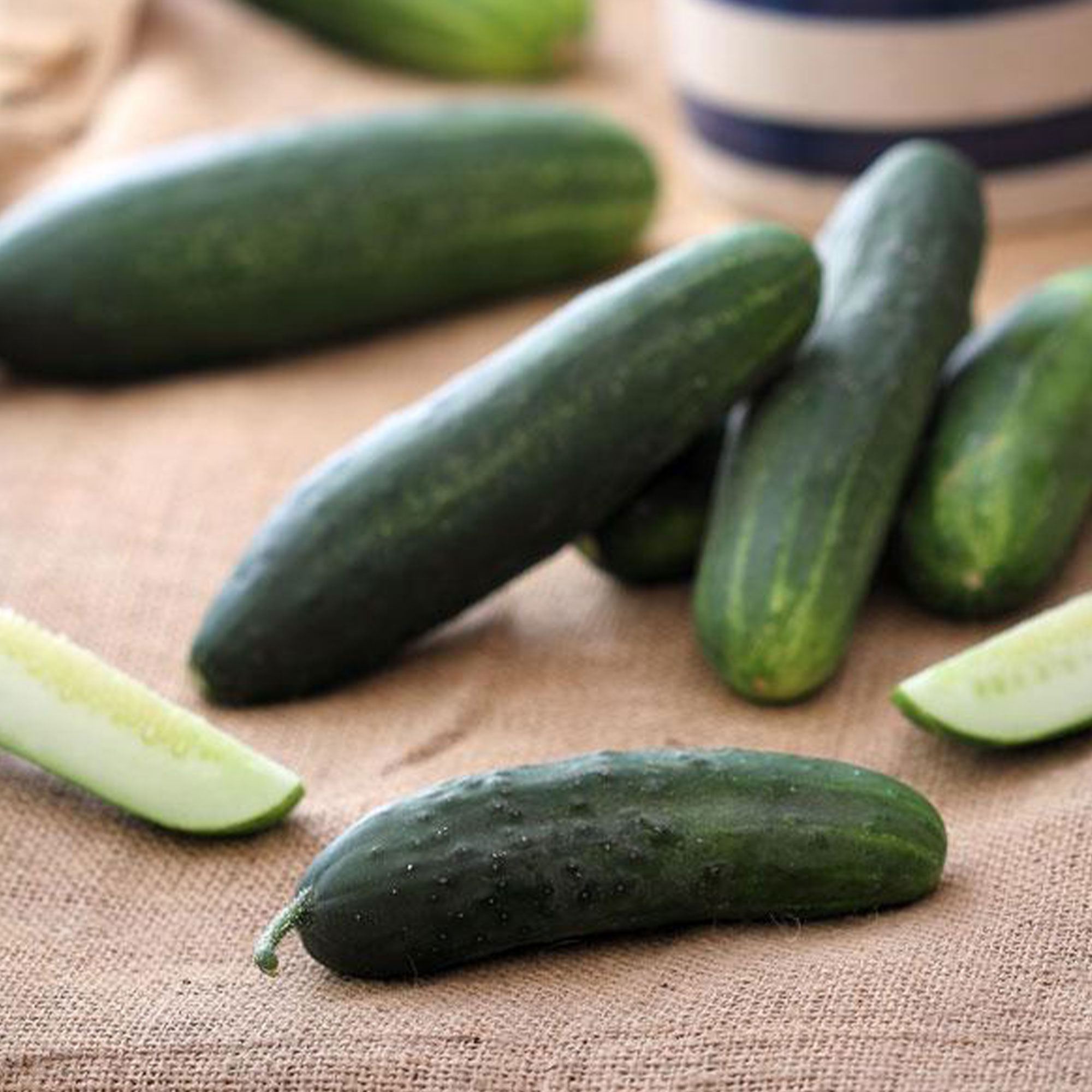 Ashley Cucumber Seed 1 g ~30 Seeds - Non-GMO, Heirloom, Open Pollinated ...