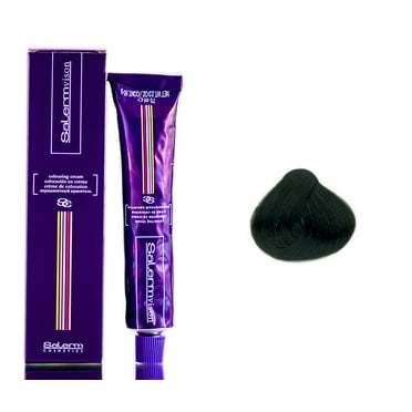 Salerm Vision Permanent Cream Haircolor (Dark Blond Beige - 6.31 ...