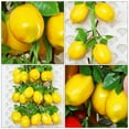 Frcolor Lemon Vines Fake Garland Artificial Lemons Decorative Hanging ...