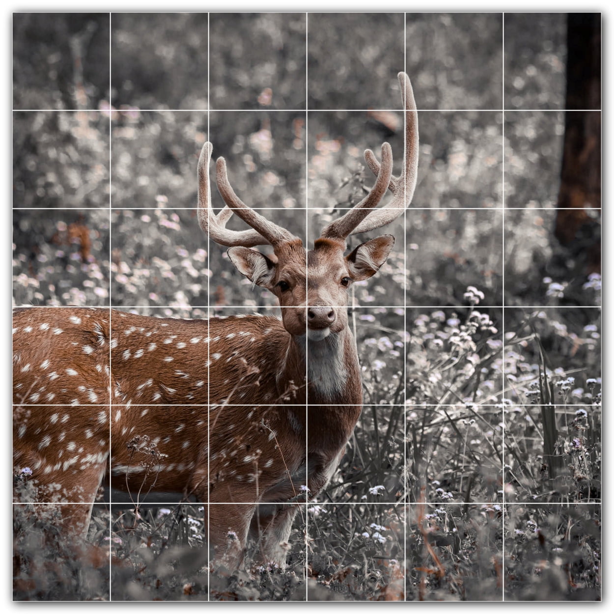 Picture-Tiles.com: Deer Ceramic Tile Wall Mural WAL500443-66M. 36"W x ...