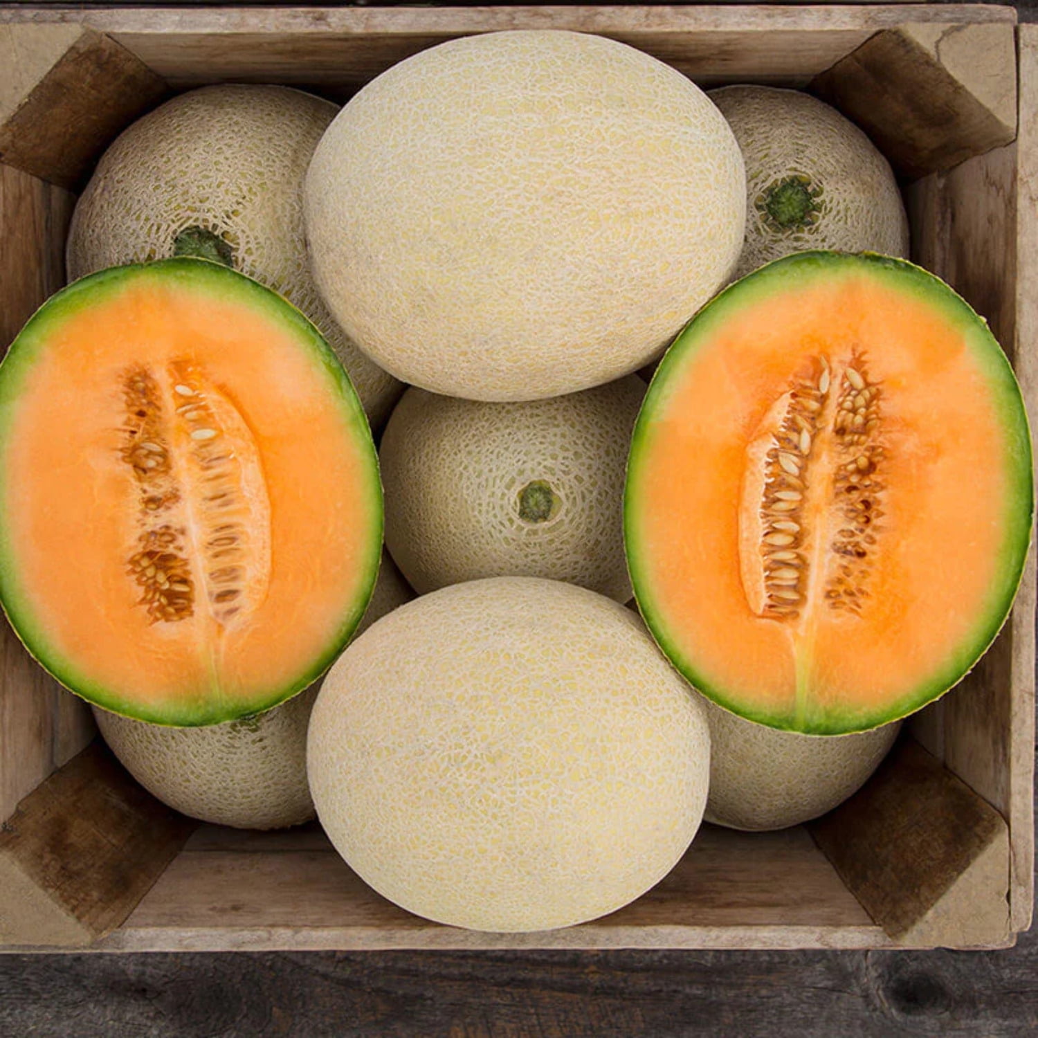 Melon True Love F1 Organic Seed - Walmart.com
