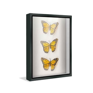 15x25 Shadow Box Frame Black | 1.25 inches Deep Real Wood Contemporary ...