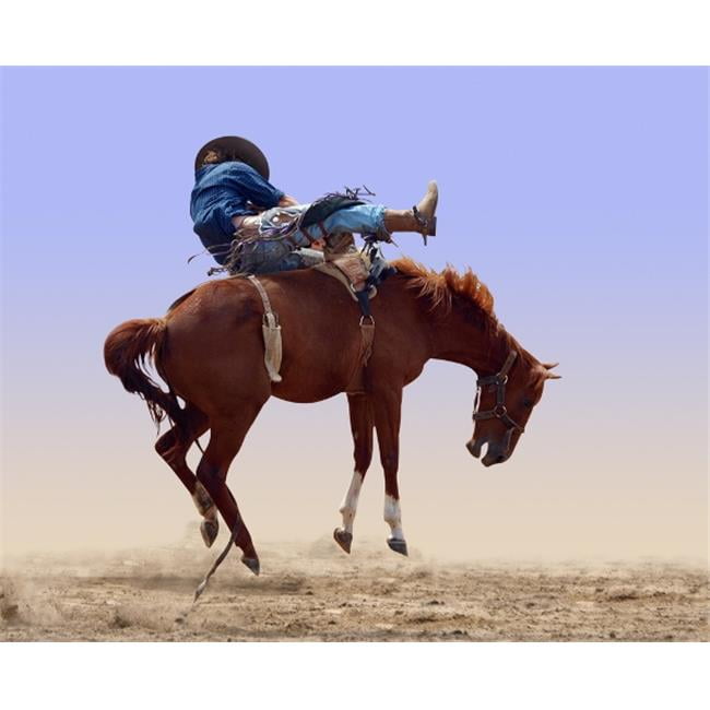 Great American Days NAB-DDG-000 Rodeo Experience - Walmart.com