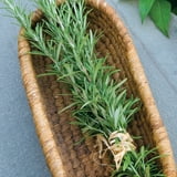 Burpee-Rosemary Seed Packet - Walmart.com