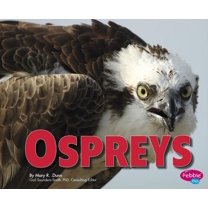 Birds of Prey: Ospreys (Hardcover) - Walmart.com