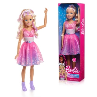 Mattel MTTHDF76 Barbie Twins Dolls - 4 Piece - Walmart.com