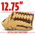 Franklin Sports Baseball Fielding Glove - Adult + Youth Baseball ...