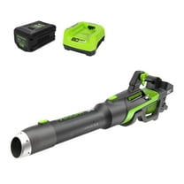 ZoomBroom Small Wireless Electric Air Blower, Lightweight ...