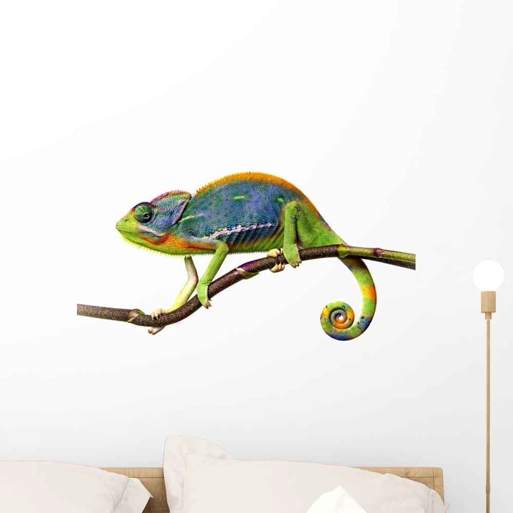 Chameleon Wall Decal by Wallmonkeys Peel and Stick Graphic (24 in W x ...
