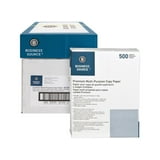 Business Source Premium Multipurpose Copy Paper, 2500 Sheets, 20lb, 92 ...