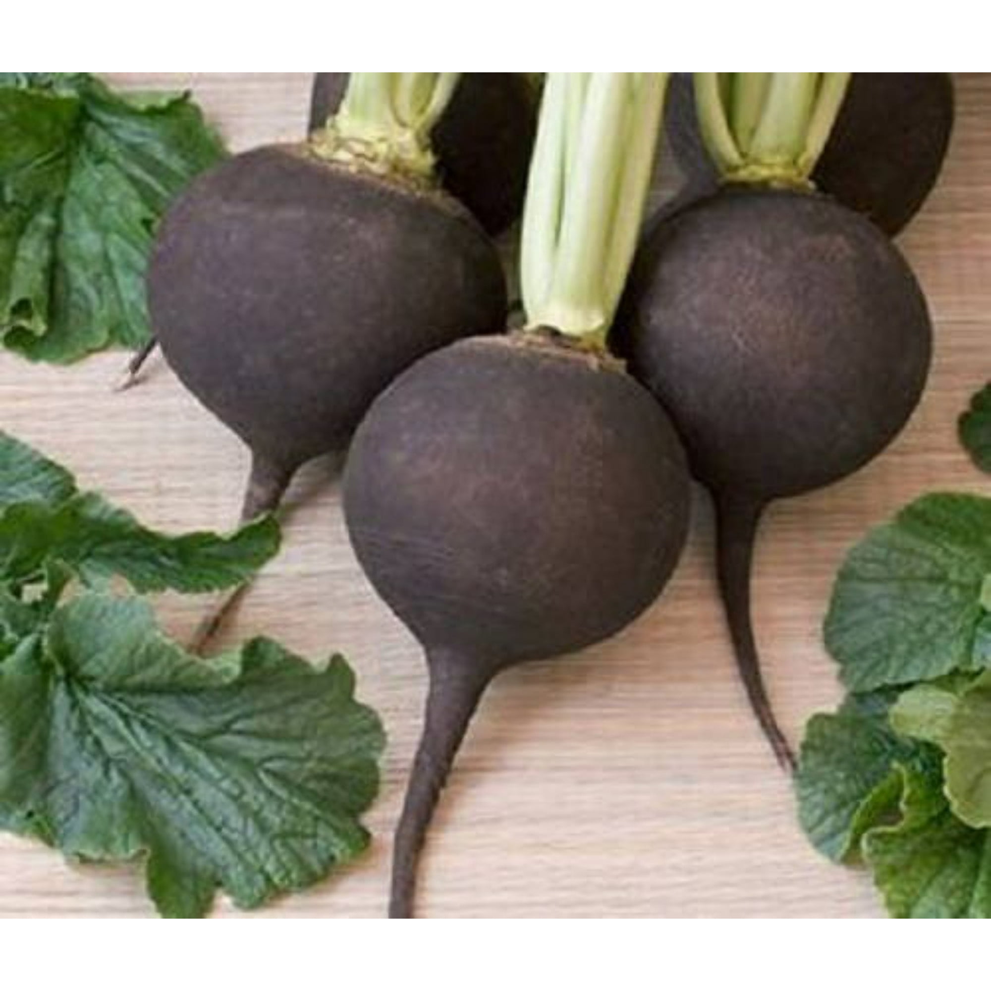 Click here for Seedville Usa 300 Black Spanish Round Hot Spicy Eu... prices