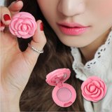 Empty Lipstick Palettes Empty Lipstick Box Empty Highlighters Container ...