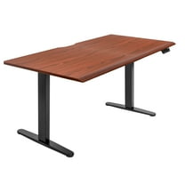 Dual Motor Electric Standing Desk with 60" Tabletop - Black Base ...