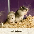 Kaytee Aspen Bedding for Small Animals, Pet Rodent Wood Clean, 8 cubic ...