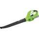 Earthwise LB20020 20-Volt Lithium Ion Cordless Electric Leaf Blower ...