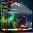 Facvoer LED Aquarium Light, Full Spectrum, Clip-On Fish Tank Light ...