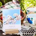 Hariumiu Postcard Base Wooden Card Holder High Strength Smooth Edge ...