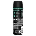 Axe Body Spray 48 Hour All Over Fresh Apollo Aluminum Free, 3.9 oz ...