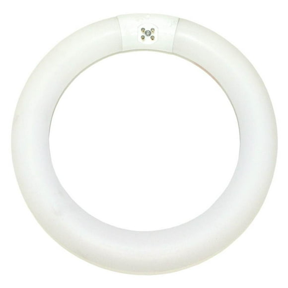 Circular Light Bulbs