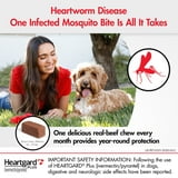Heartgard Plus Chew for Dogs, 51-100 lbs, (Brown Box) - Walmart.com