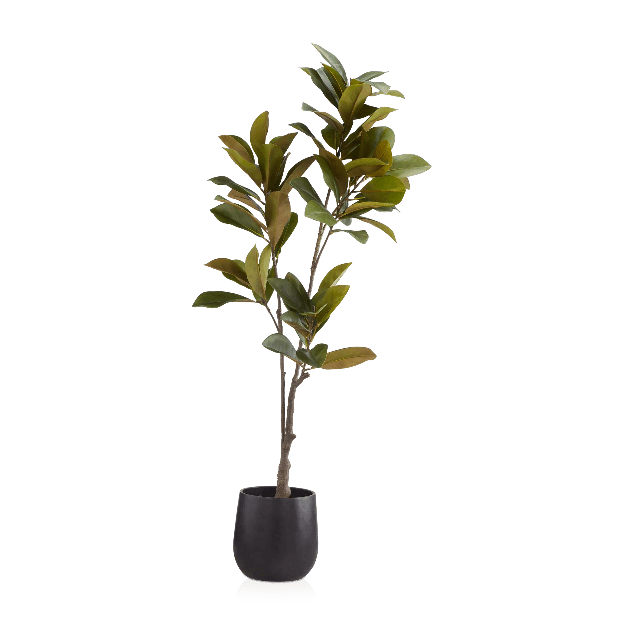Click here for Bouclair Green Artificial Magnolia Tree 20 X 20 X... prices