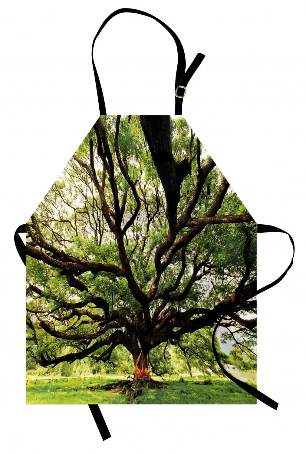 Nature Apron The Largest Monkey Pod Tree in Thailand Eastern Green Big ...
