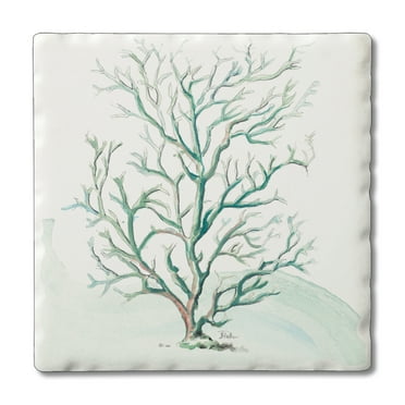 Thirstystone "Delph Goldfinch" Single Tumbled Tile Coaster - Walmart.com