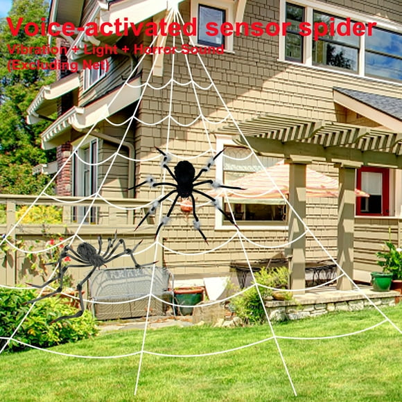 Motion Activated Spider