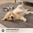 Dirtping Door Mat 24" X 59" Non-slip/smachine Washable Entryway Rug Dog ...