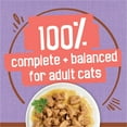 Purina Friskies Extra Chunky Gravy, Soft Turkey, Wet Cat Food, 5.5 oz ...